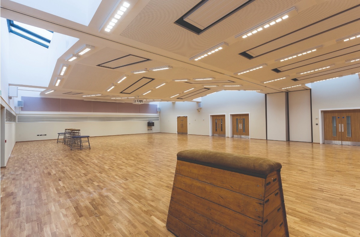 The role of timber in the construction of healthy buildings ...