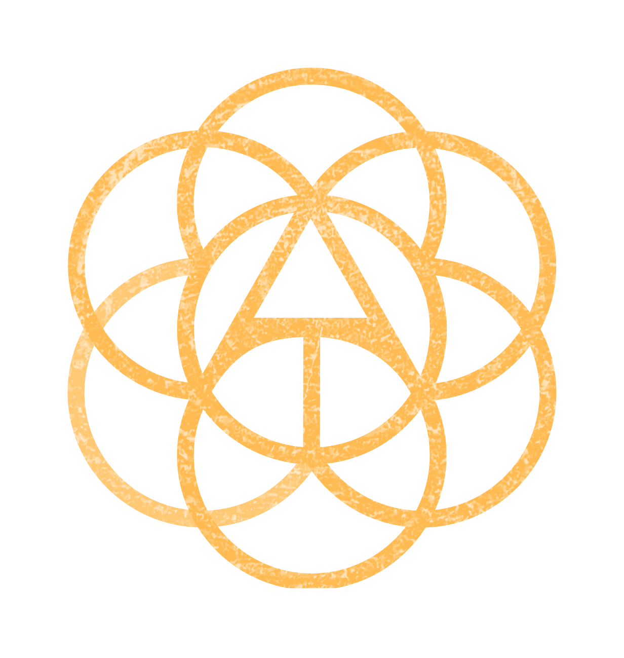 Arfon Timber Frames Ltd - Structural Timber Association