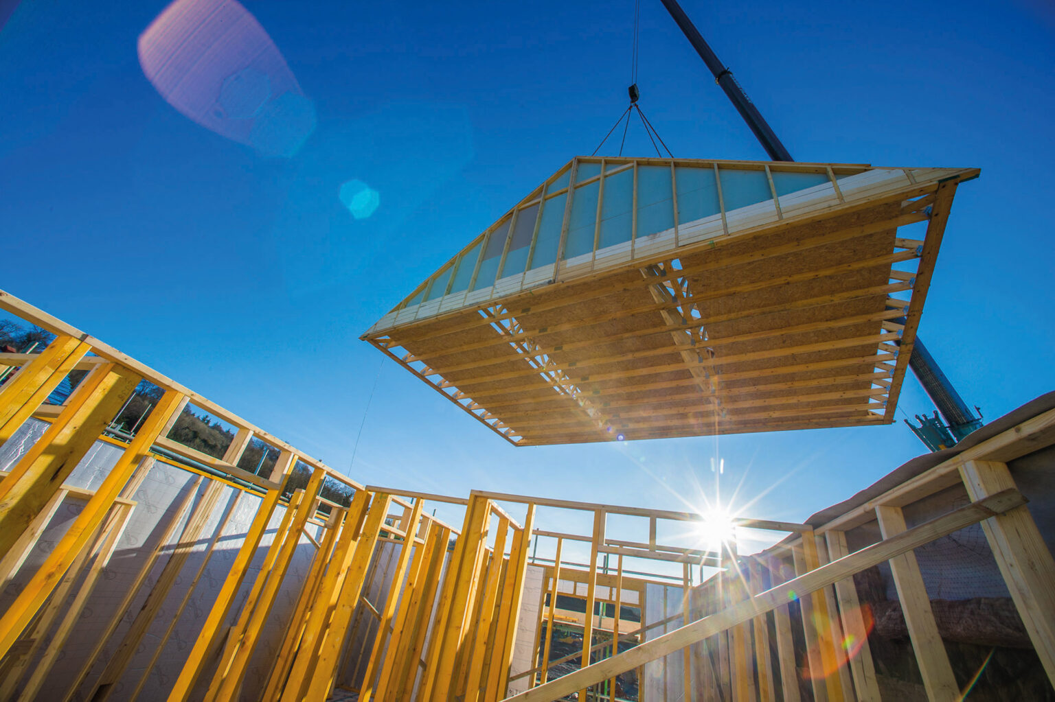 Home - Structural Timber Association