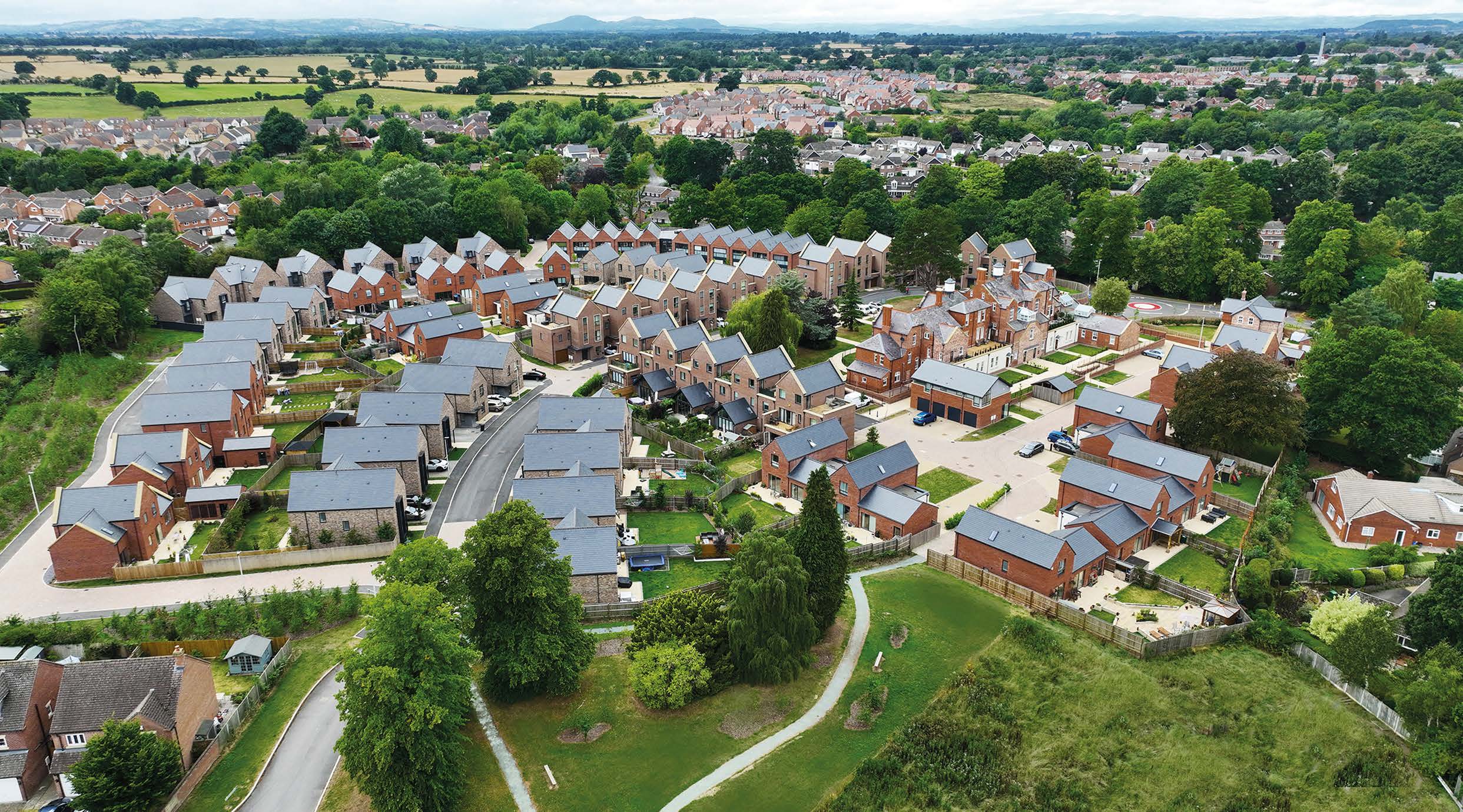 Timber Roadmap Gets Green Light - Structural Timber Association